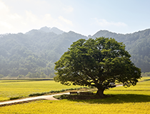 전의초등학교에 오신것을 환영합니다